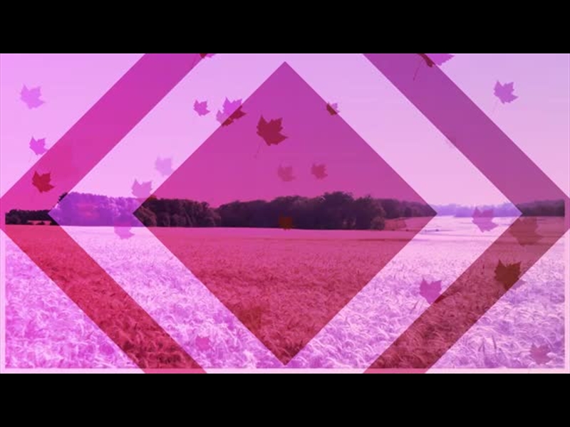 Harvest Motion Background Cody Duck WorshipHouse Media