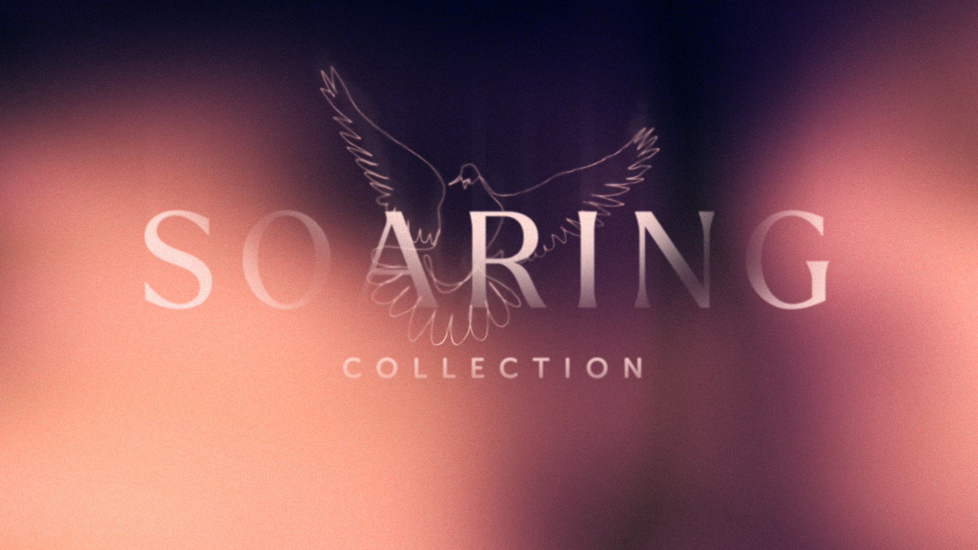 Soaring Collection | Timber & Pearl | WorshipHouse Media