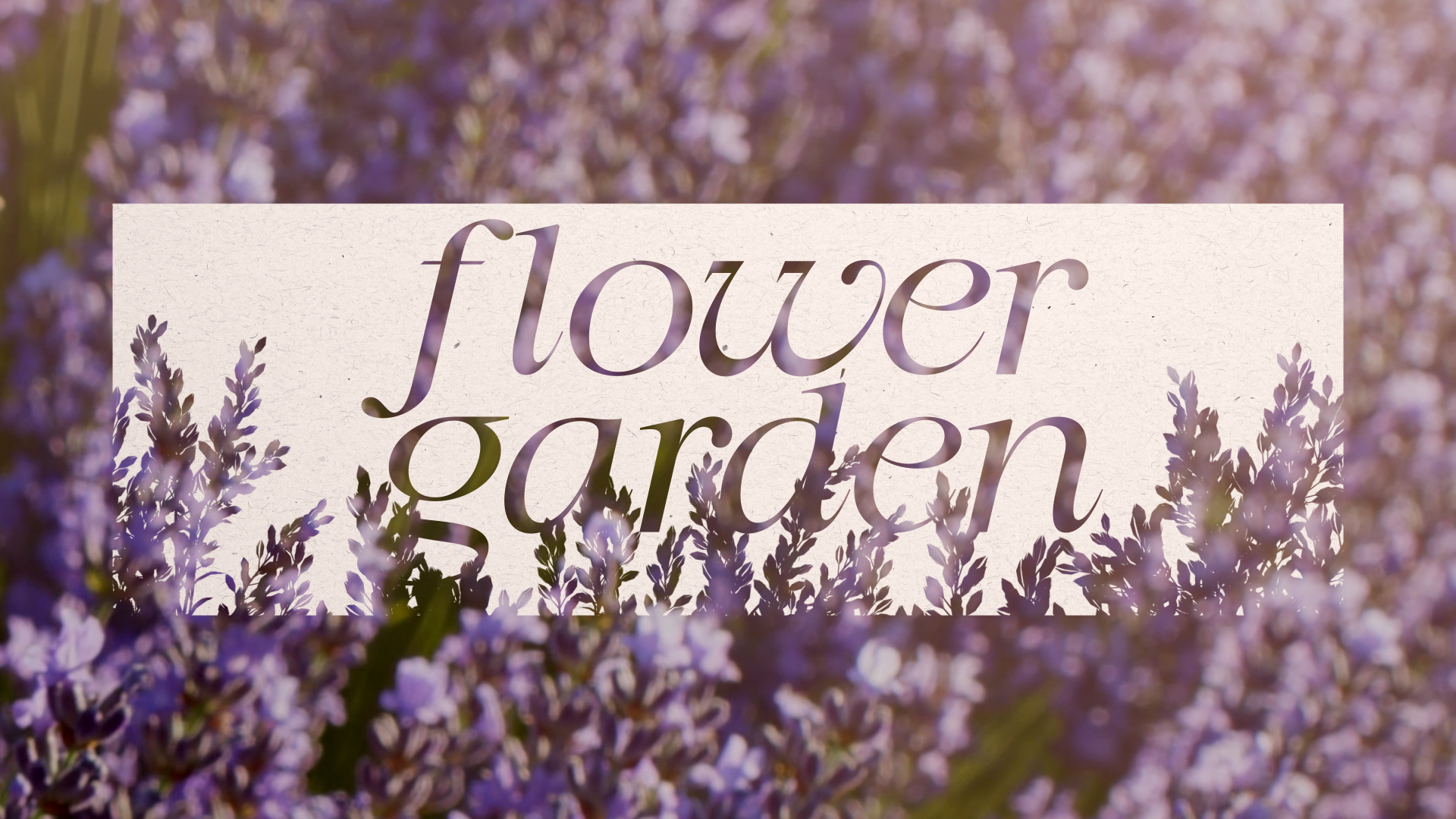 Flower Garden Loop 01 | Timber & Pearl | WorshipHouse Media