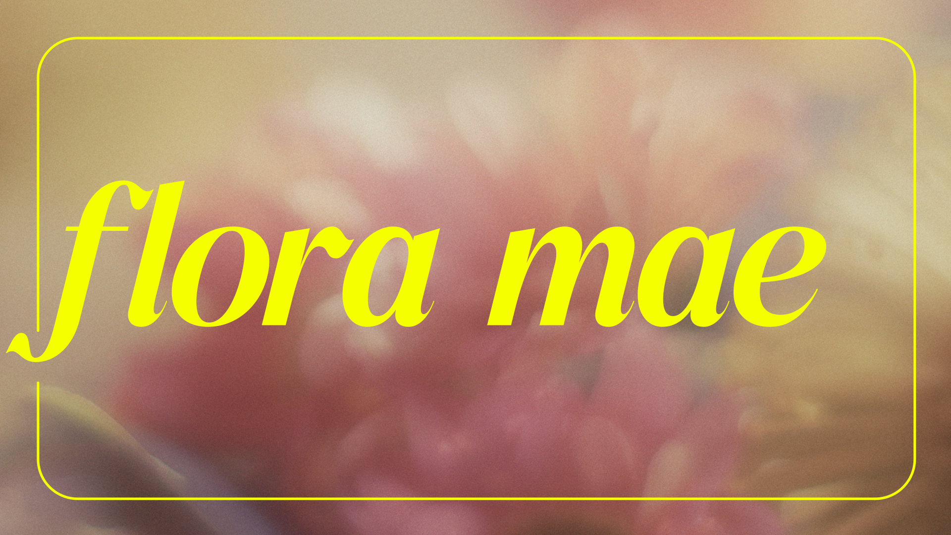 Flora Mae Collection | Timber & Pearl | WorshipHouse Media