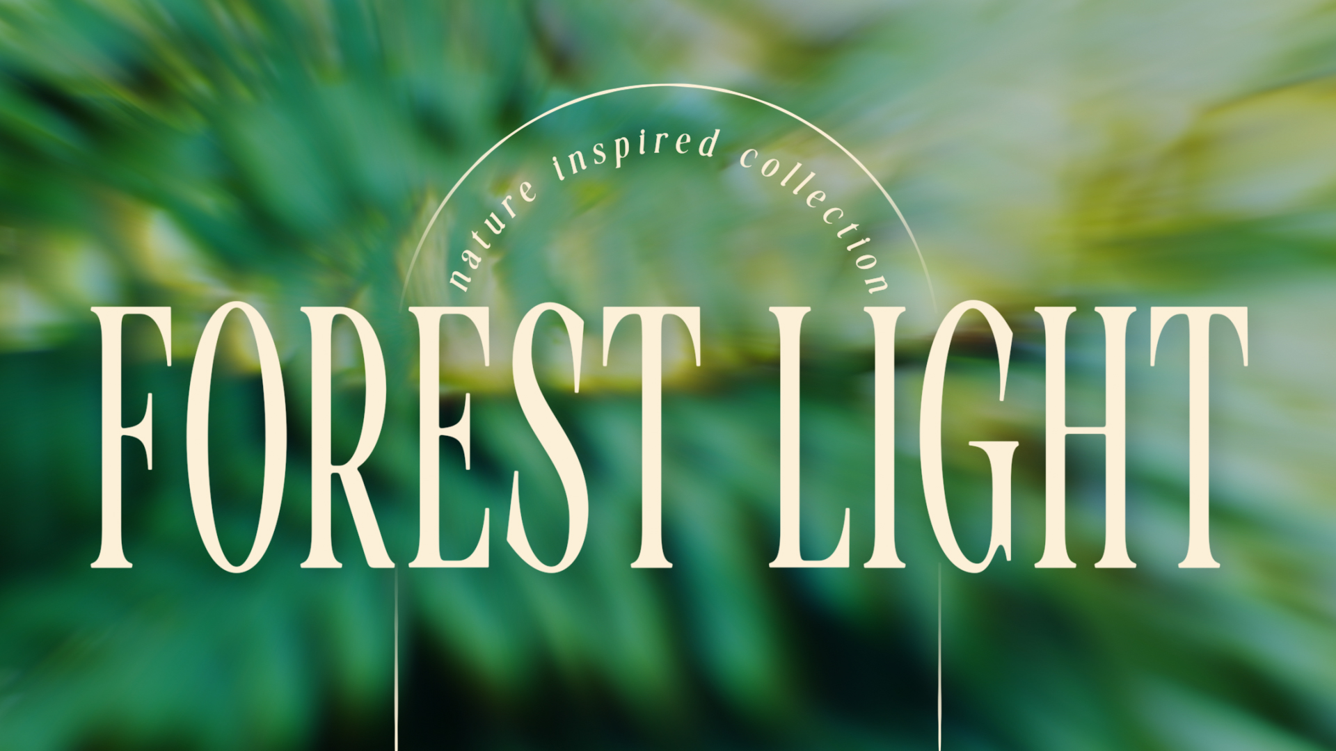 Forest Light Still 02 | Timber & Pearl | WorshipHouse Media