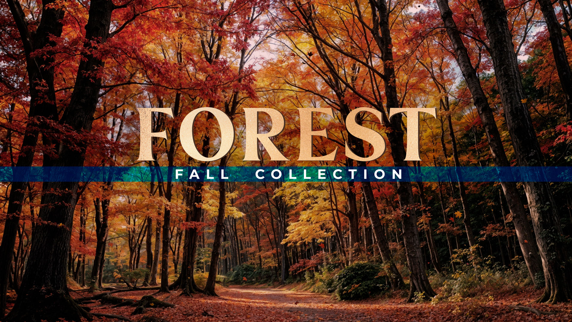 Forest Fall Upcoming | Life Scribe Media | WorshipHouse Media