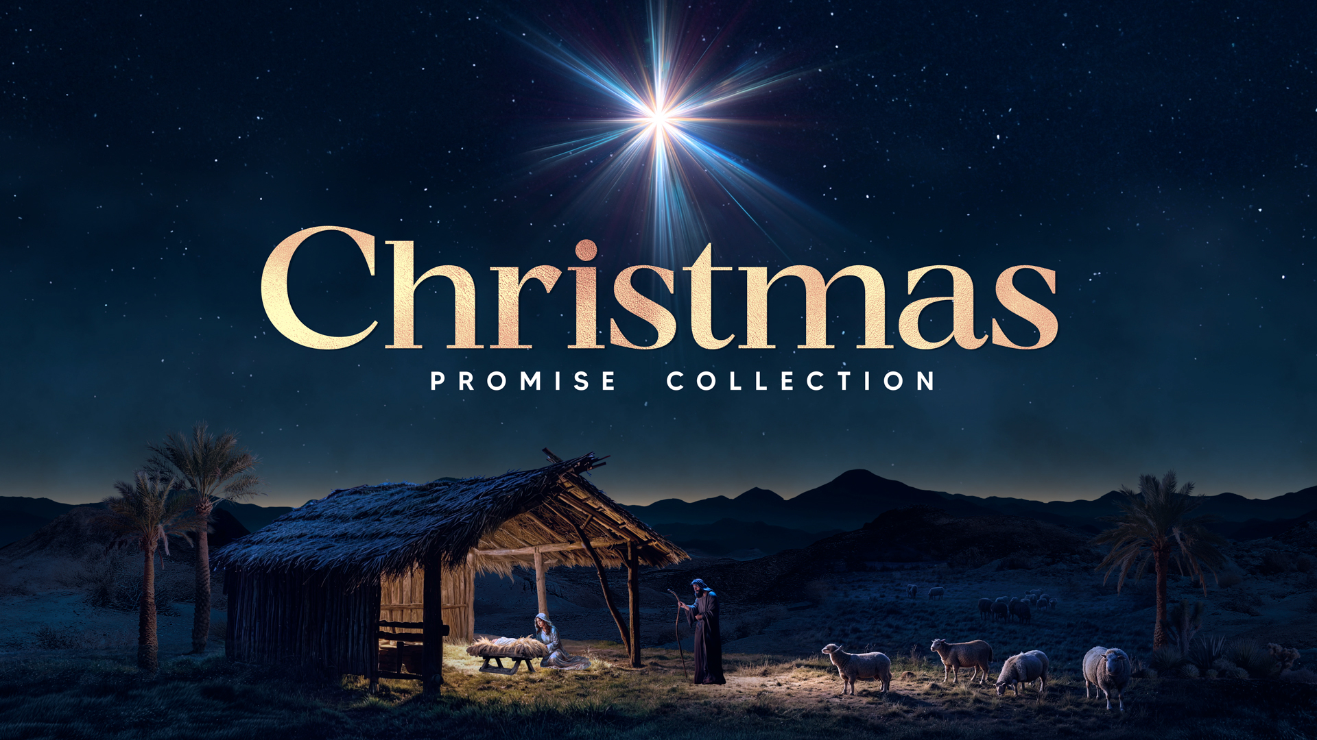 Christmas Promise Countdown | Life Scribe Media | WorshipHouse Media