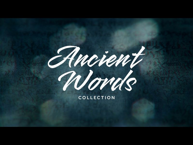Ancient Words Purple | Shift Worship | Playback Media Store