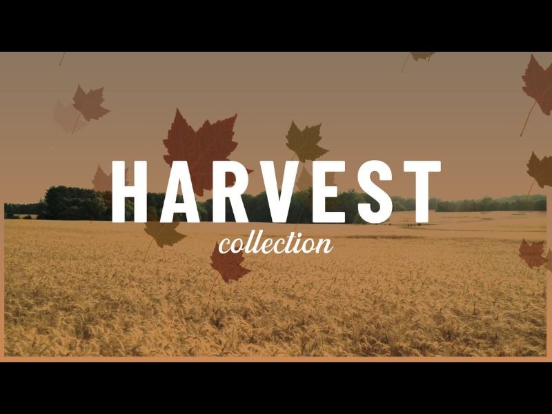 Harvest Collection | Cody Duck | WorshipHouse Media