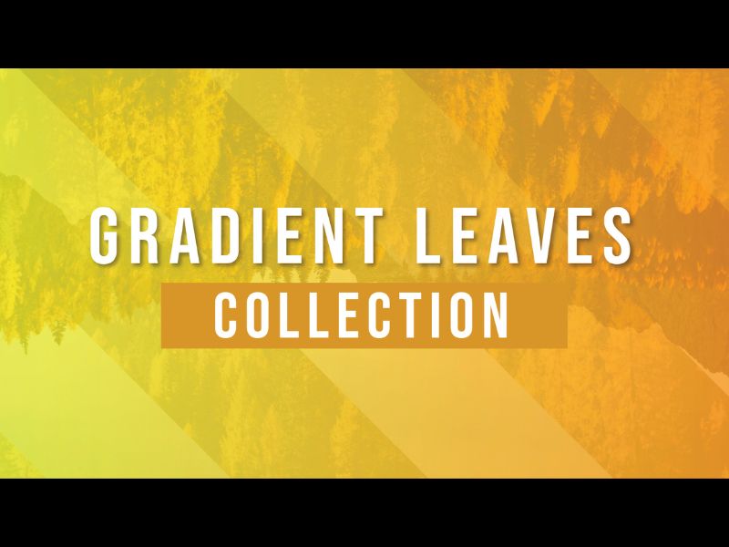 Trending Worship Backgrounds & Loops for Church | WorshipHouse Media