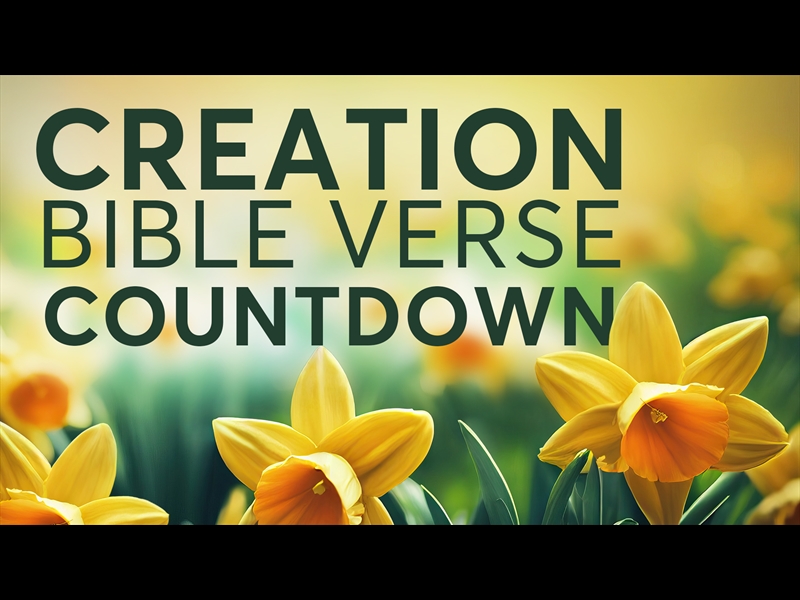 Church Countdown Videos for Christian Worship Services | WorshipHouse ...