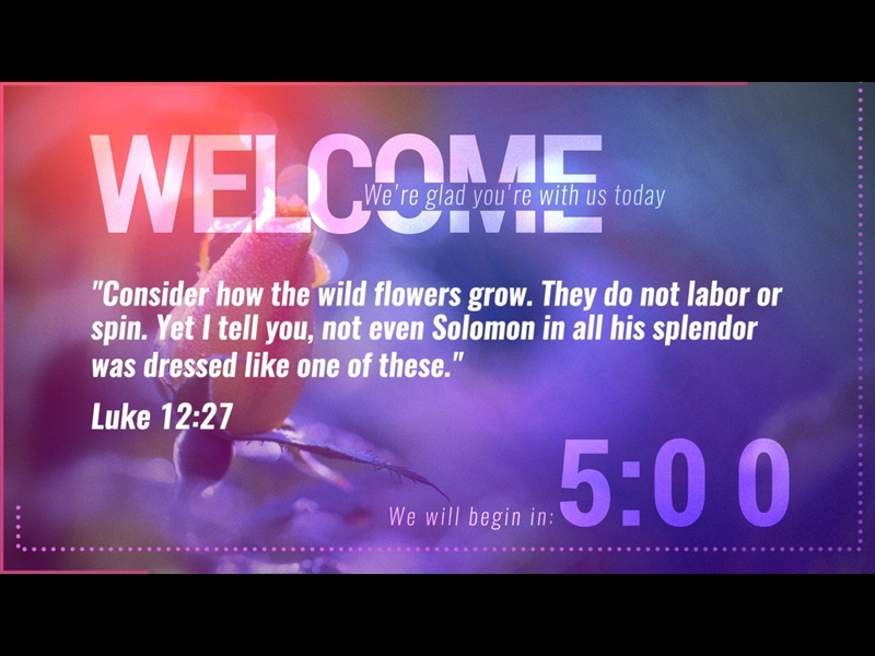 Consider The Flowers Countdown | Beamer Films | WorshipHouse Media