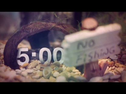 Fish Tank Countdown | Igniter Media | WorshipHouse Media