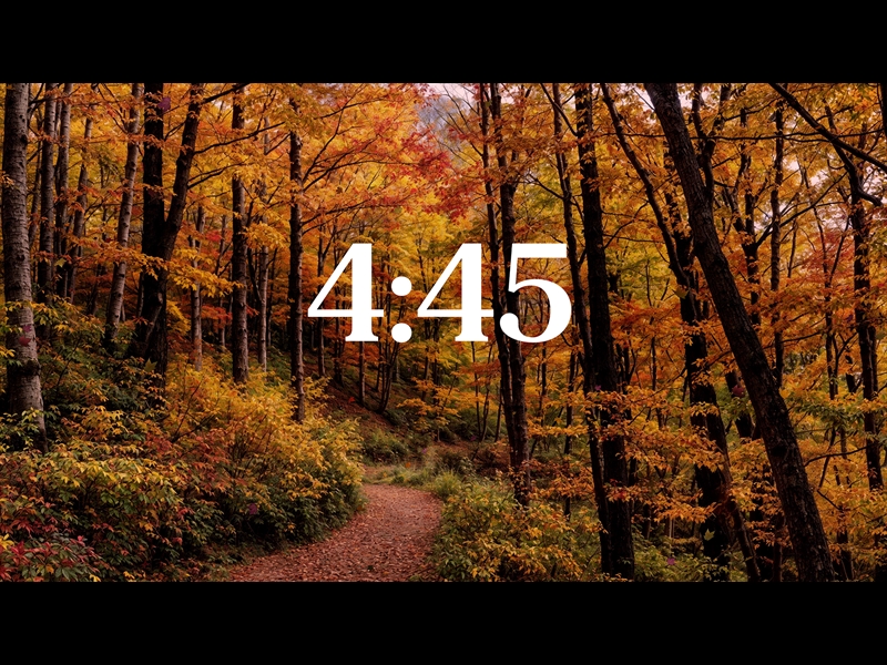 Forest Fall Minimal Countdown | Life Scribe Media | WorshipHouse Media