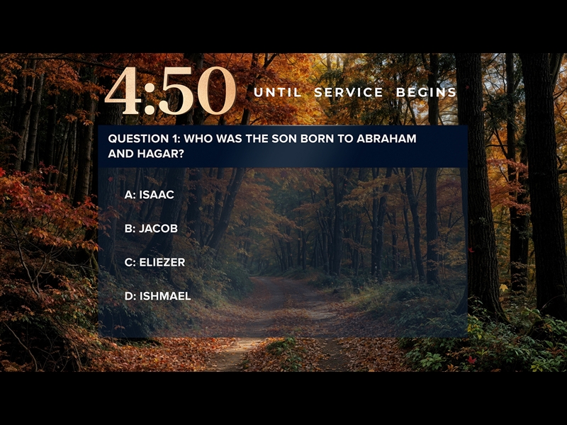 Forest Fall Collection | Life Scribe Media | WorshipHouse Media