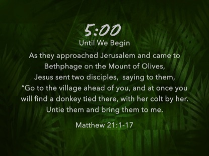 Palm Leaf Scripture Countdown | Playback Media | Playback Media Store