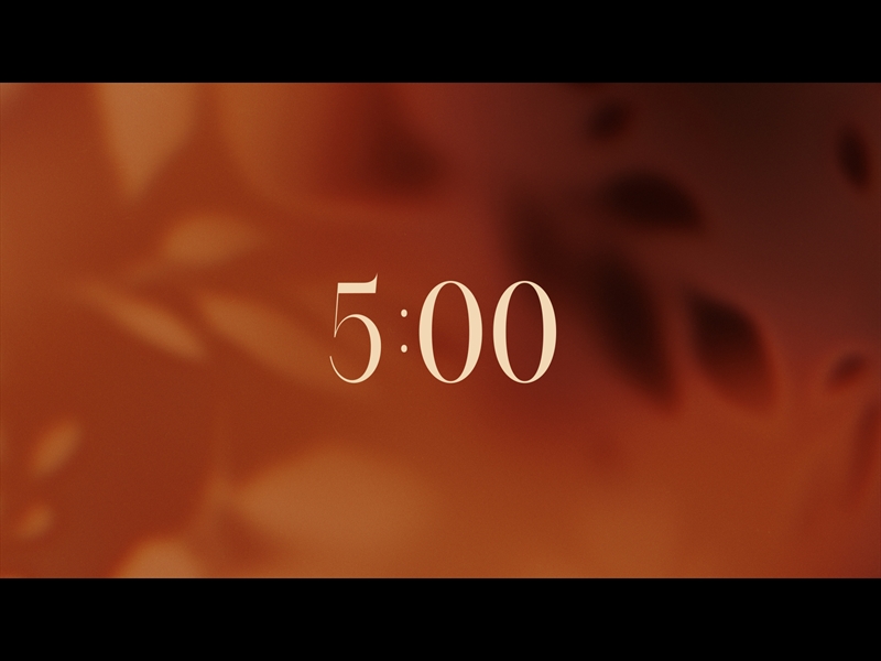 Velvet Fall Countdown 02 | Timber & Pearl | WorshipHouse Media