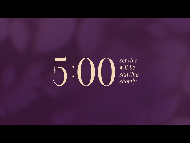 Velvet Fall Collection | Timber & Pearl | WorshipHouse Media