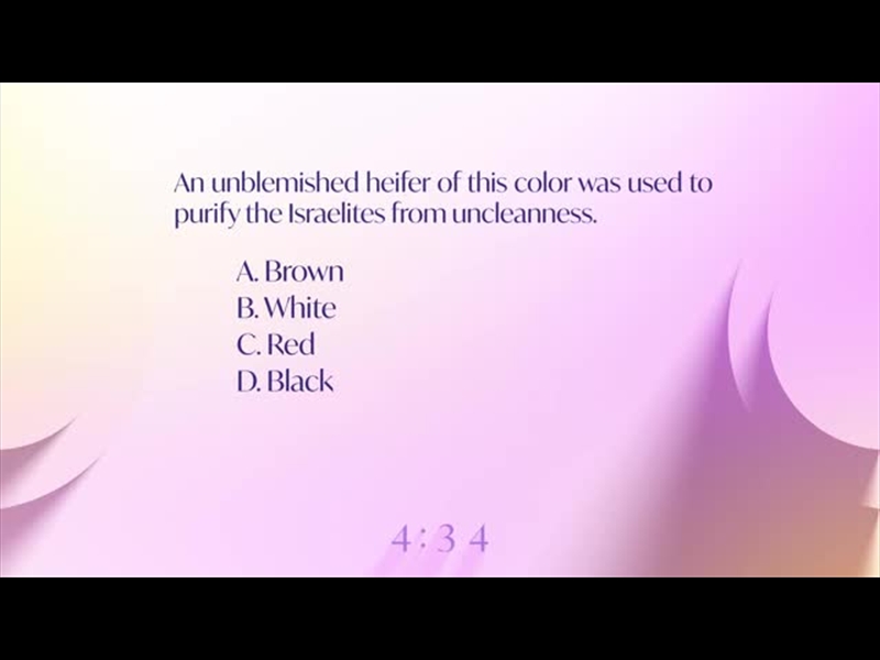 Unlimited Church Countdown Videos | Playback Media Store