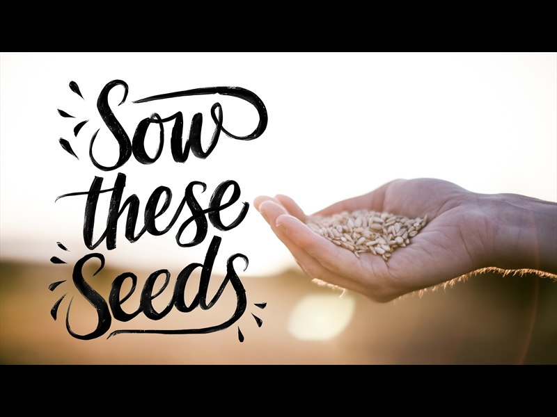 Sow These Seeds | James Grocho | WorshipHouse Media