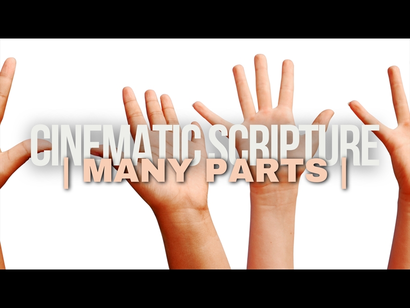 Cinematic Opener: Many Parts | Canyon Productions | WorshipHouse Media