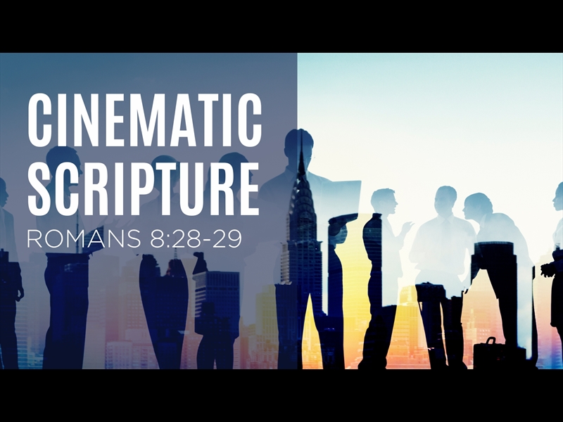 Cinematic Scripture - Romans 8:28-29 | Canyon Productions ...