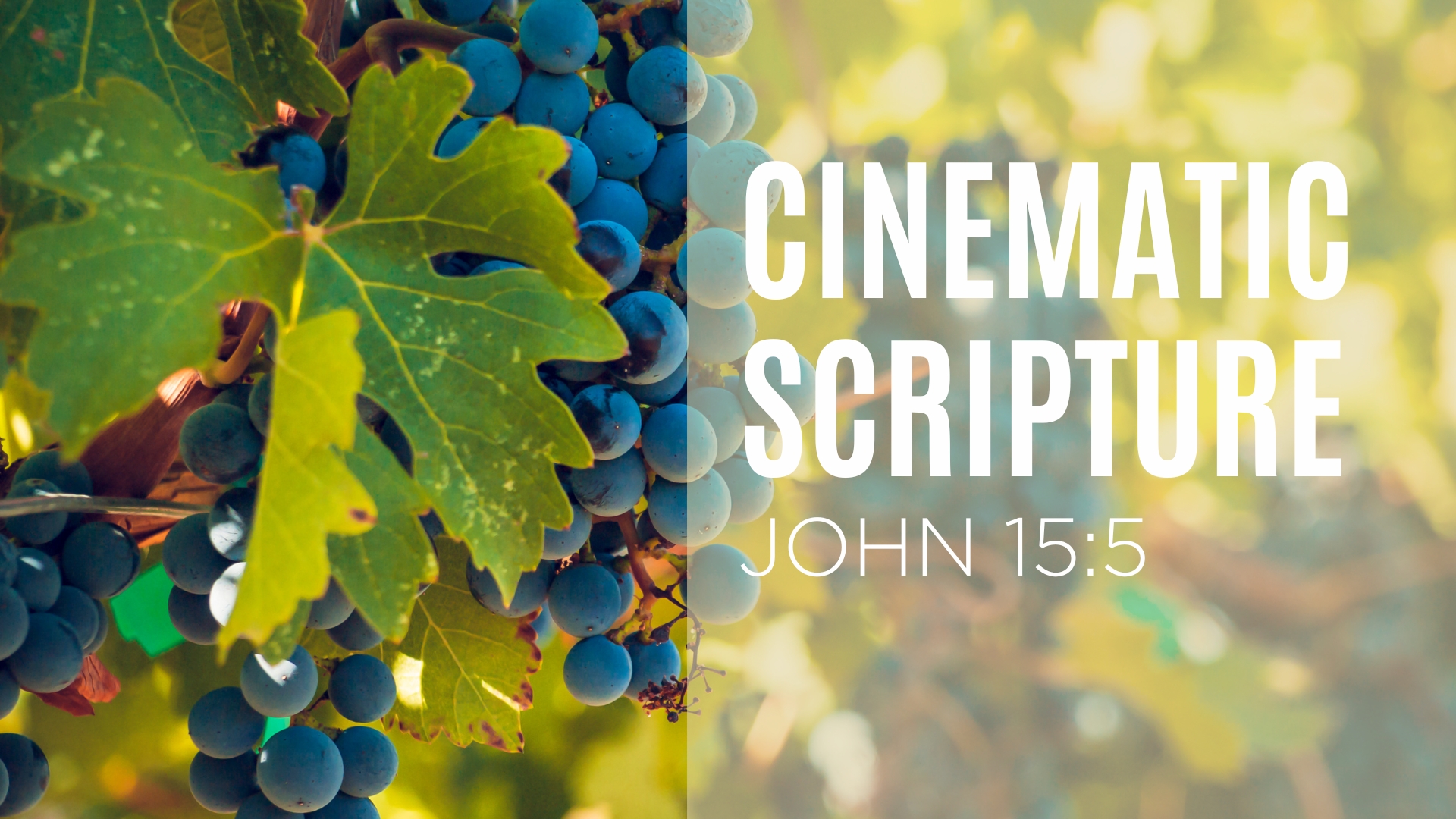 Cinematic Scripture John 15 5 Canyon Productions WorshipHouse Media