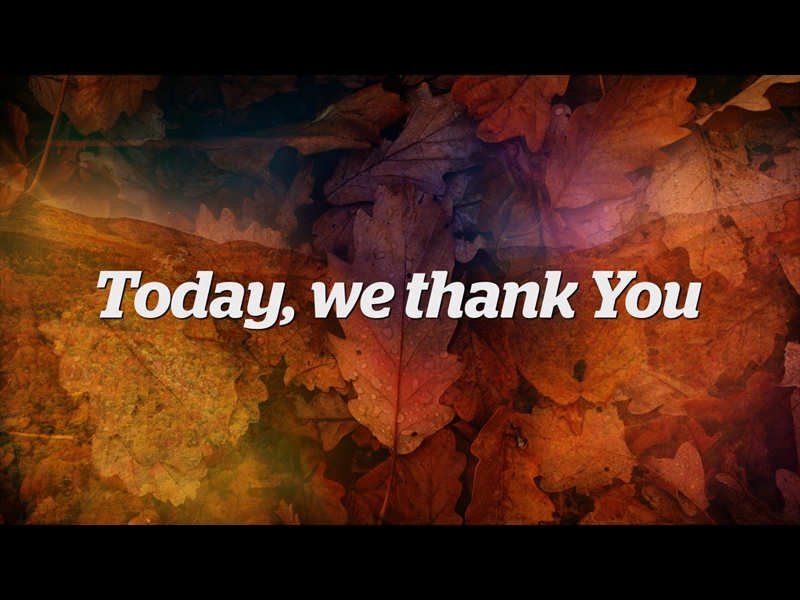Today We Thank You | Centerline New Media | Playback Media Store