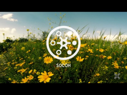 Promised Land Socoh | Daily Audio Bible | WorshipHouse Media