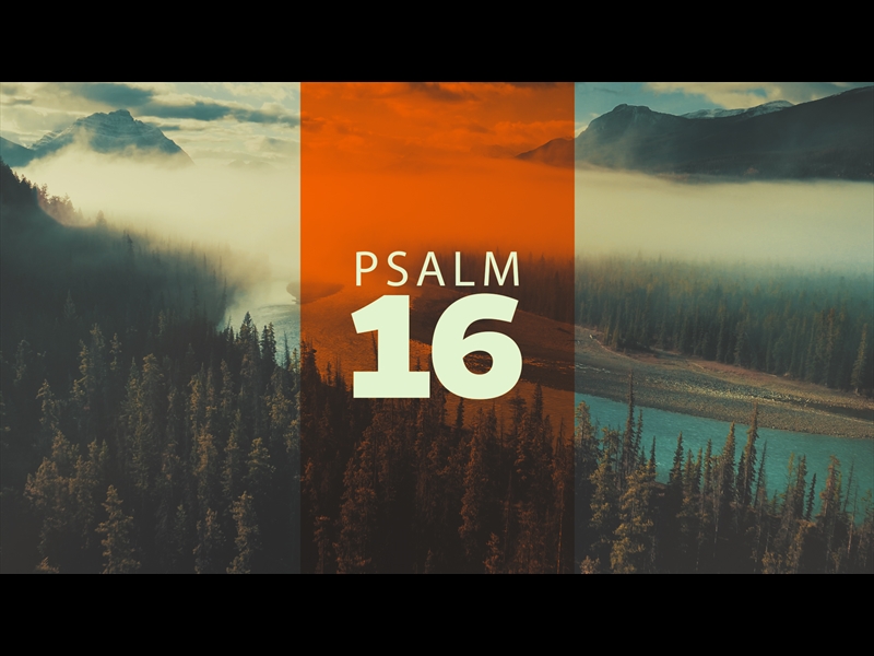Mini Movies for Sermon Illustrations, Worship and Church | WorshipHouse ...