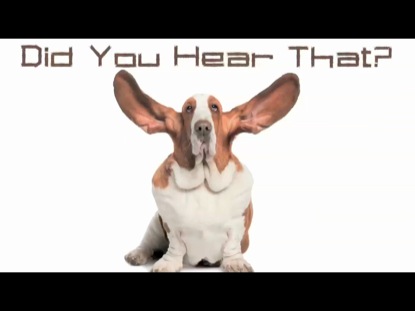 Did You Hear That | Digital Felt Productions | Kids Videos ...