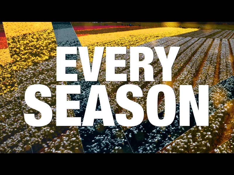 Page 2 | Mini Movies for Sermon Illustrations, Worship and Church ...