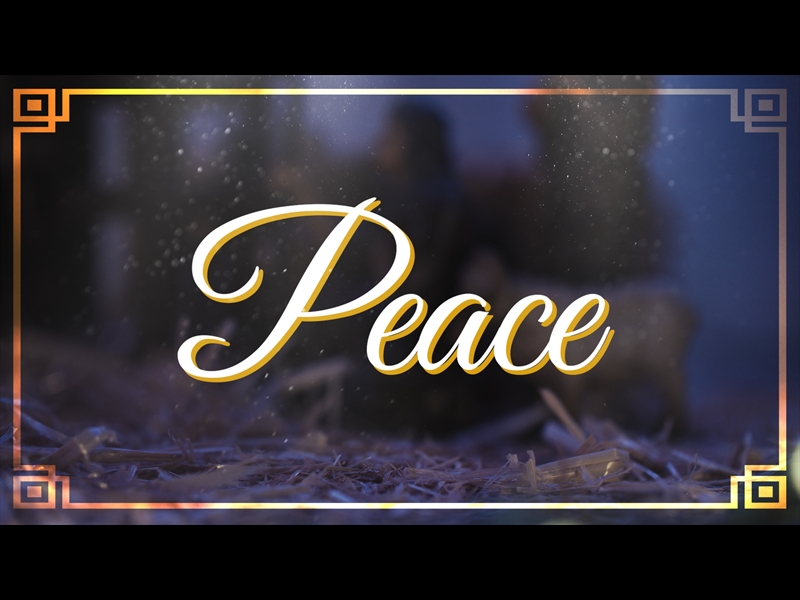 Peace - The Advent Collection 3 | Floodgate Productions | WorshipHouse ...