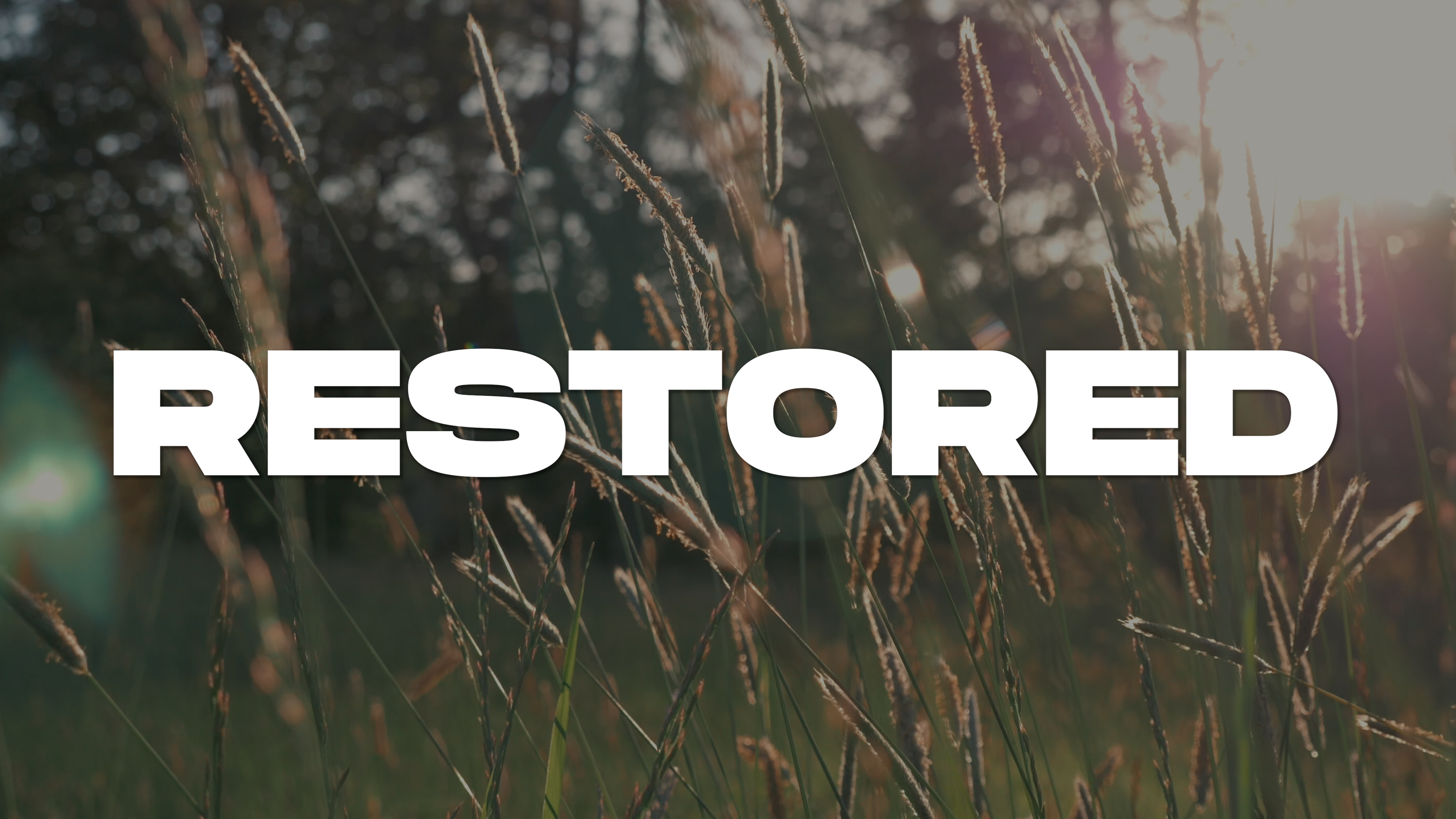 Rype.tv | Church Videos and Worship Media Producer | WorshipHouse Media