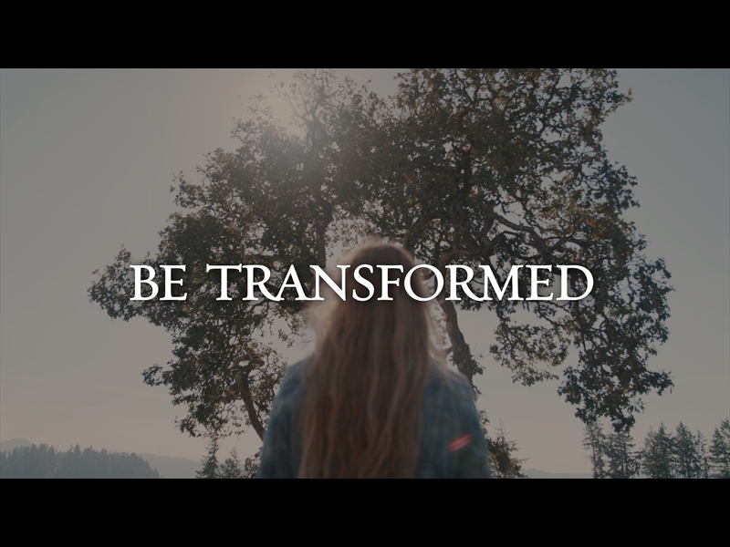 Rype.Tv Mega Bundle | Rype.tv | WorshipHouse Media