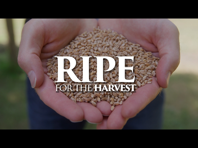 Ripe For The Harvest | Rype.tv | WorshipHouse Media