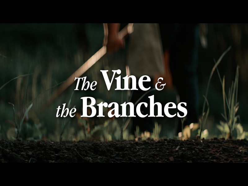 The Vine And The Branches | Rype.tv | WorshipHouse Media