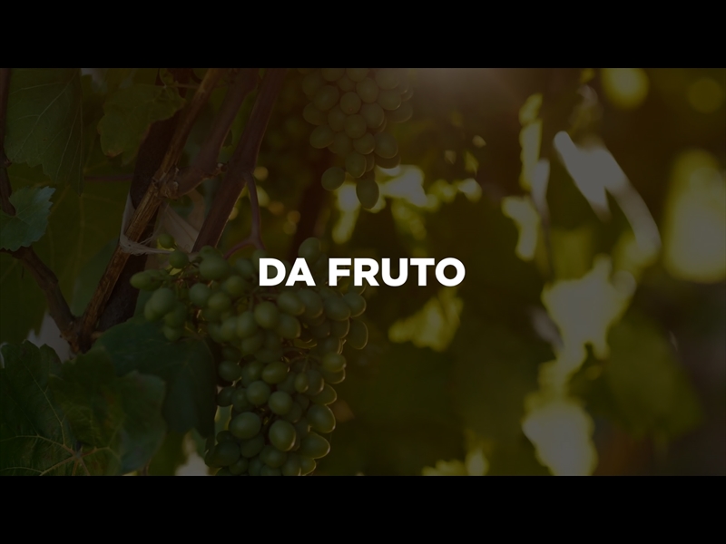 Search | WorshipHouse Media