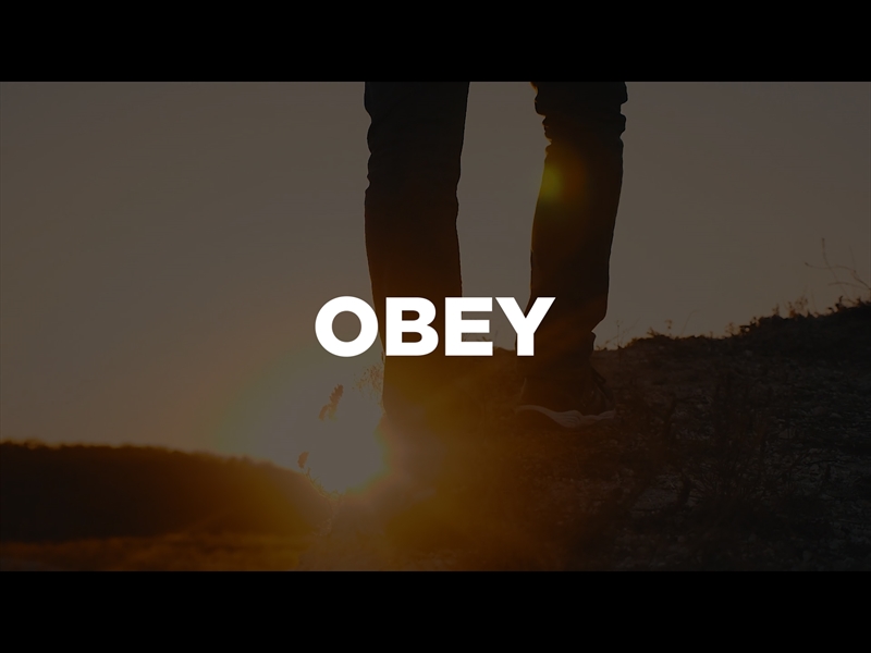 Black Obey Logo Wallpaper