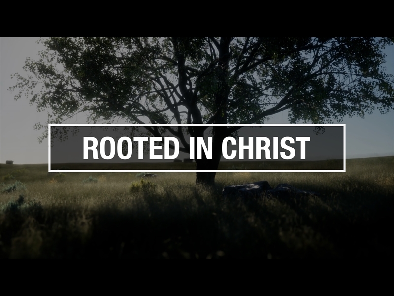 Rooted In Christ | Church Fuel | WorshipHouse Media