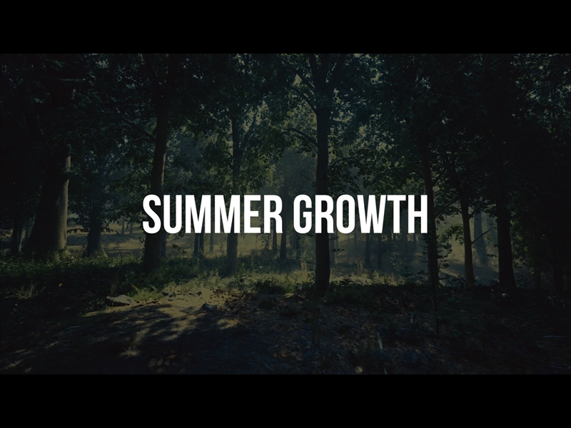Summer Growth | Church Fuel | WorshipHouse Media