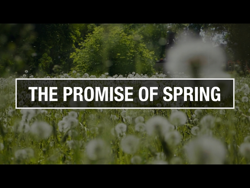 The Promise Of Spring | Church Fuel | WorshipHouse Media