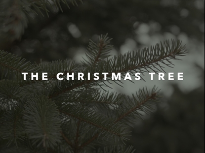 The Christmas Tree | Hope Oakville Media | WorshipHouse Media