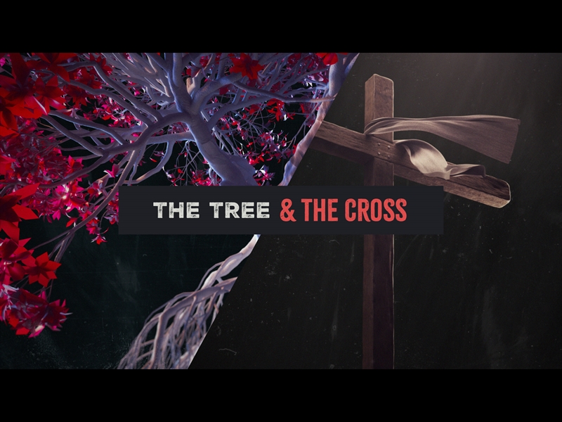 Mini Movies for Sermon Illustrations, Worship and Church | WorshipHouse ...