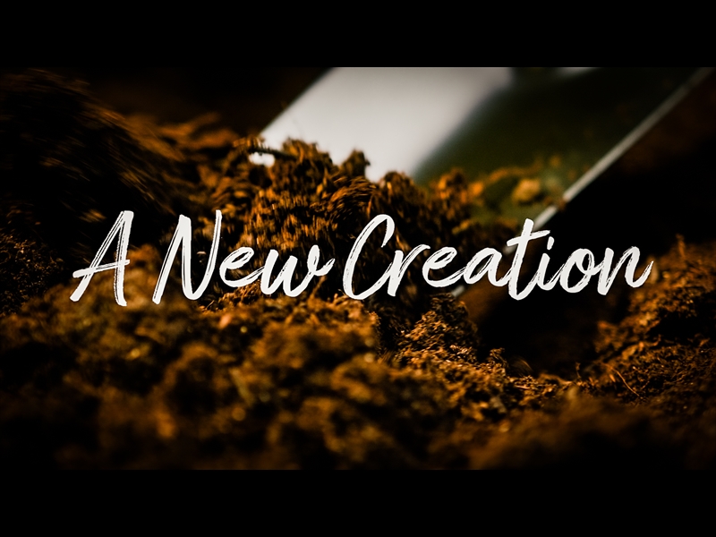 A New Creation | Now i See Media | WorshipHouse Media