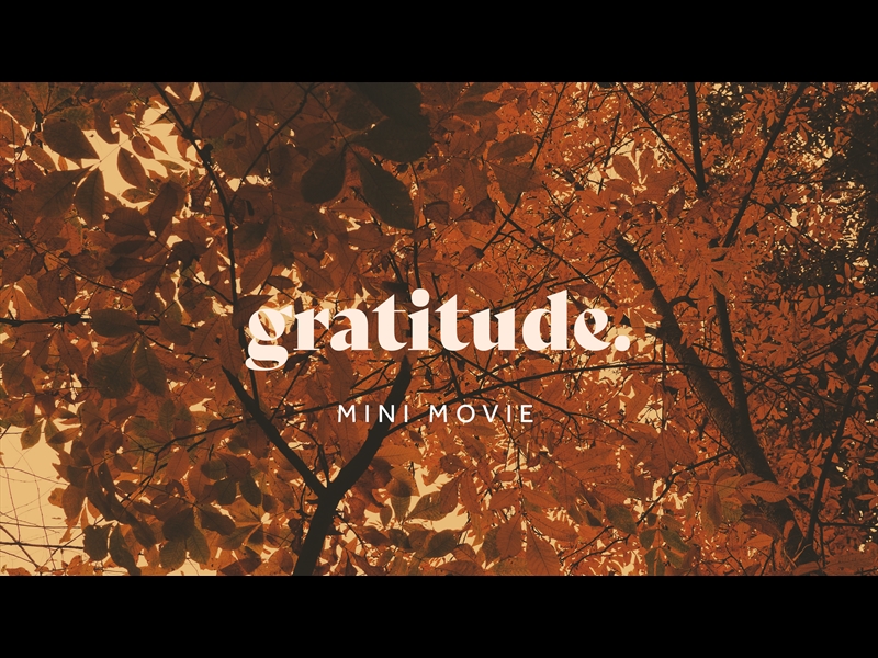 Unlimited Mini Movies & Worship Videos | Playback Media Store