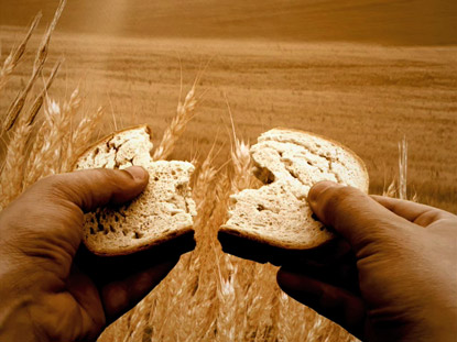 Wheat | MinistryFlix | WorshipHouse Media