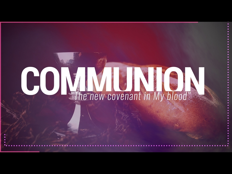 Consider The Flowers Communion Loop | Beamer Films | WorshipHouse Media