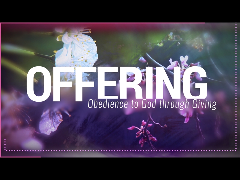 Consider The Flowers Offering | Beamer Films | WorshipHouse Media