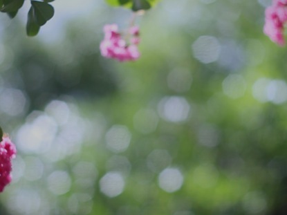 Nature Loop 03 Natural | Brightside Creative | WorshipHouse Media