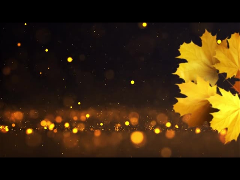 Fall Volume One: Background 02 | Church Visuals | WorshipHouse Media