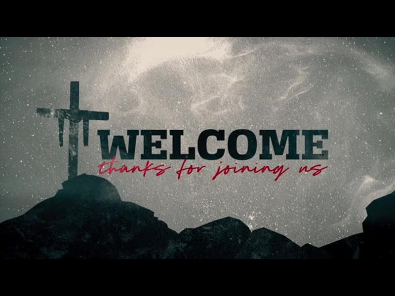 Search | Playback Media Store