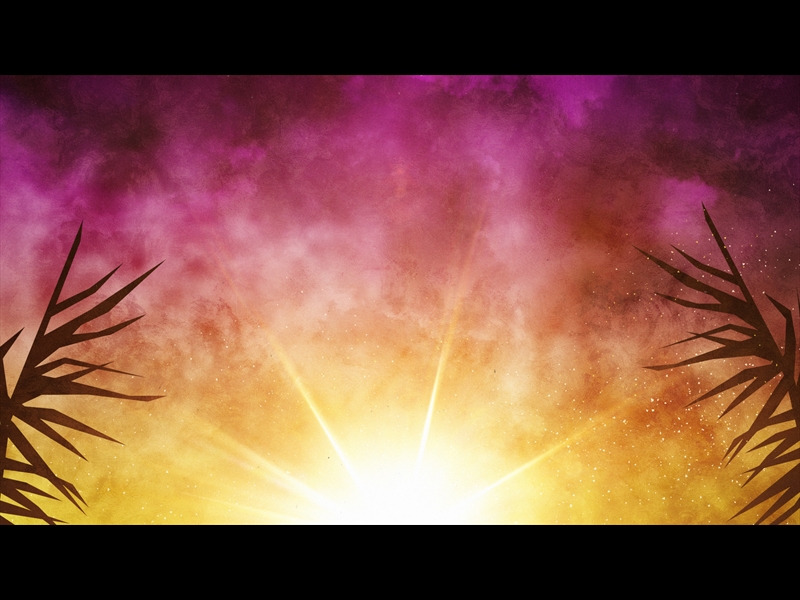 Bright Palm Sunday Service Pack | Centerline New Media | Playback Media ...