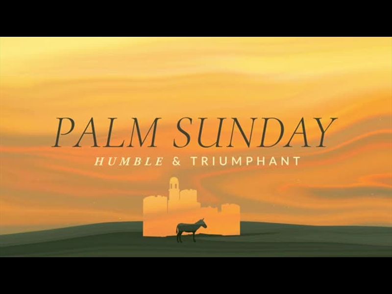 Bright Easter Palm Sunday | Centerline New Media | Playback Media Store